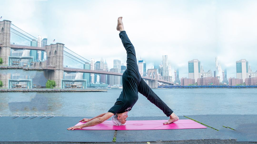 Dharma Yoga for Beginners I